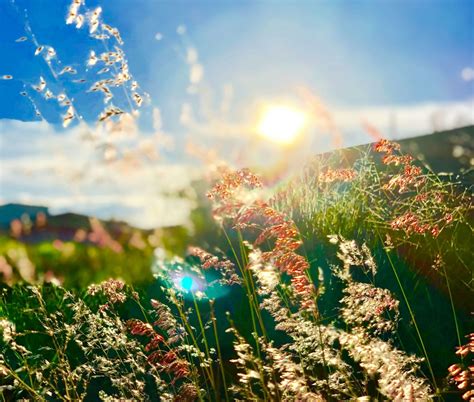 Long Term Physical Conditions And Mental Health Northern Healthcare