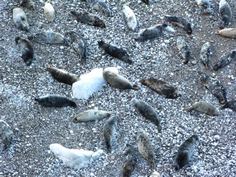 The Medieval Secrets Of Great Orme