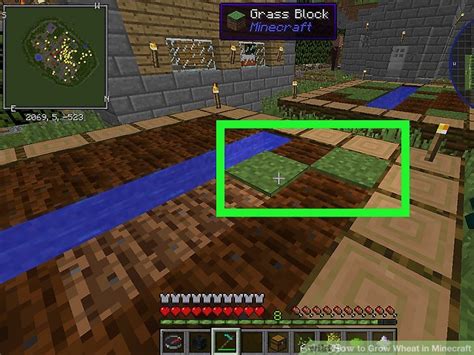 How To Grow Wheat In Minecraft Steps With Pictures WikiHow