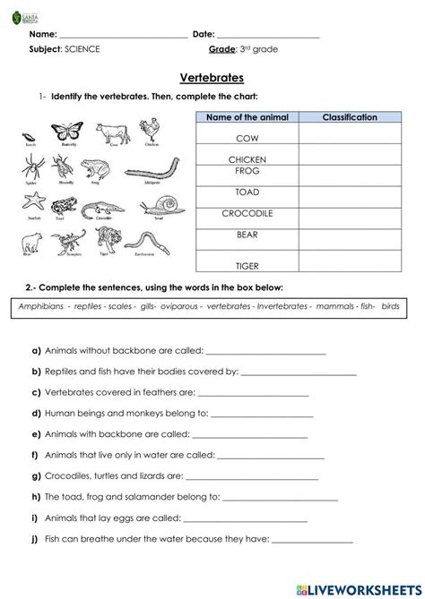 Vertebrates Free Interactive Worksheets 2155430