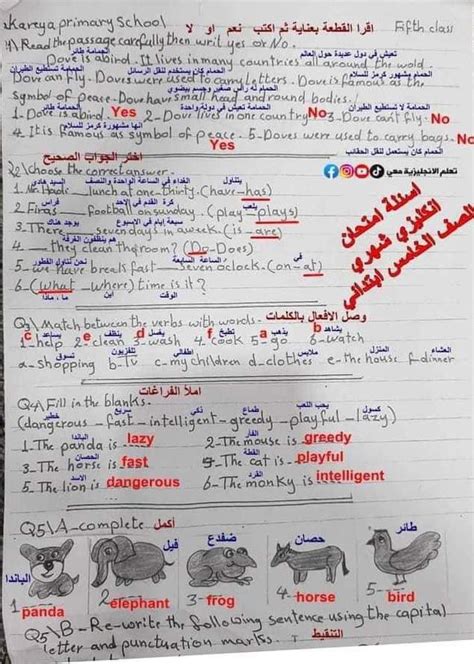 نماذج امتحان انكليزي شهر الثاني الوحدة الثانية لصف الخامس ابتدائي عدد 6 Artofit