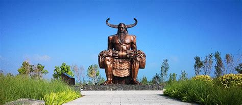 冬季采摘｜美好生活，从采摘开始，神农园邀你共享“莓”好时光~
