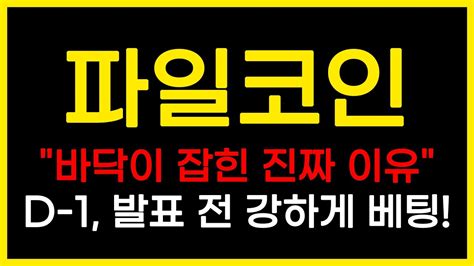 긴급속보 파일코인 바닥이 잡힌 진짜 이유 D 1 발표 전 강하게 베팅 파일코인 파일코인전망 파일코인호재 Youtube