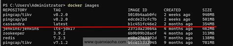 Docker 安装 Cassandra 数据库(图文教程) 犬小哈教程 Docker 安装 Cassandra 数据库(图文教程) 犬小哈教程