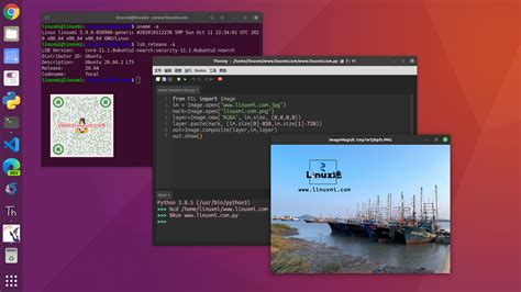 如何在linux上安装和使用thonny Python Ide Linux迷