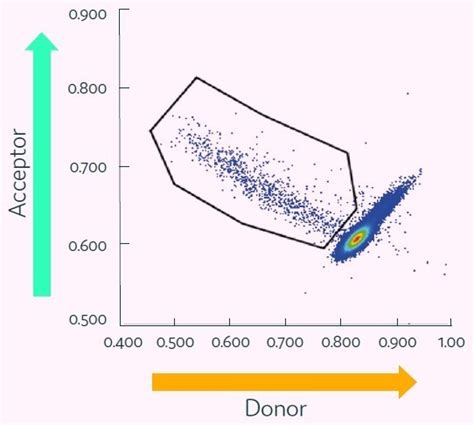 Introducing A High Throughput Method For Identifying Rare Cells From B Cell Repertoires And