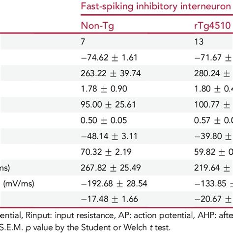 Electrophysiological Properties Of Fast Spiking Inhibitory Interneurons