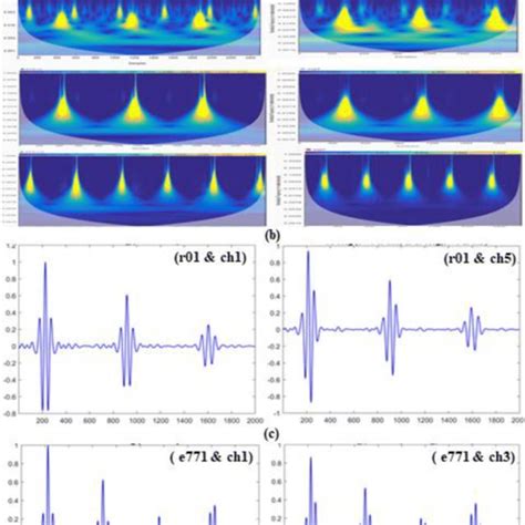 Different Types Of Continuous Wavelets Download Scientific Diagram