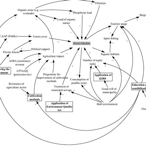 Causal Loop Diagram Developed By The Representative Of The Forestry Download Scientific Diagram