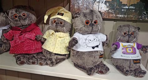 Кто такой кот Басик?