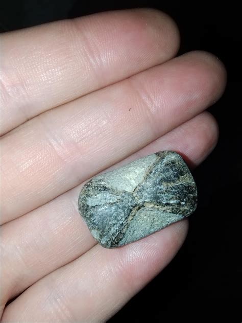 I Think Its A Vertebrae 🤷 R Fossilid