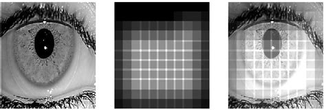 Deepiris Iris Recognition Using A Deep Learning Approach Deepai