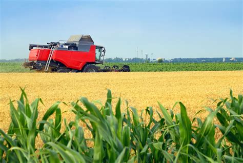 Comprendre Lagriculture Son Histoire Son Importance Et Ses