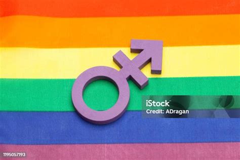 Lgbt 자부심의 무지개 깃발의 배경에 보라색 트랜스 젠더 기호 0명에 대한 스톡 사진 및 기타 이미지 0명 기 동성애자 Istock