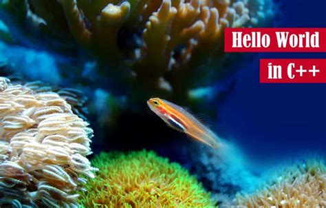 Hello World In C The Renegade Coder