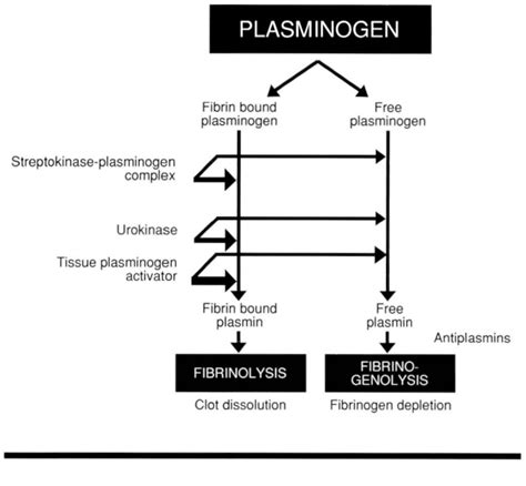 Figure 1 From Thrombolytic Therapy A Review Part 1 Of 2 Semantic