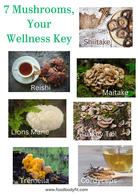 Mushroom Powder Sutton Discover The Best Mushroom Powder Uk Weight Loss And Type 2 Diabetes