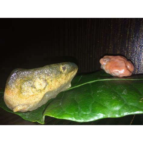 一口价 油酥饼 石馆 国石网