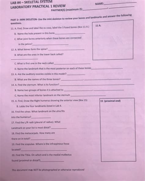 Solved LAB 4 SKELETAL SYSTEM LABORATORY PRACTICAL 1 REVIEW Chegg Com