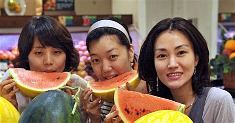 다가오는 여름 다양한 수박 모여라