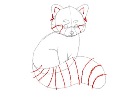 How To Draw A Detailed Panda