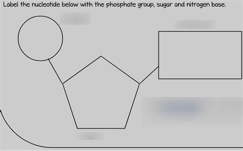 Biochemistry Study Guide Biology Diagram Quizlet