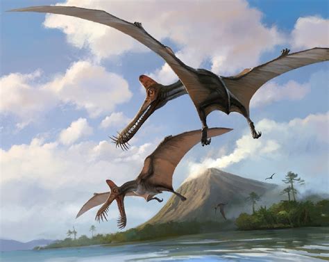 Ornithocheirus Pictures And Facts The Dinosaur Database