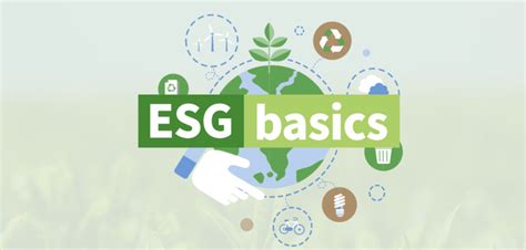 Esg The Basics Explained