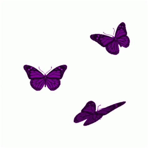 Butterfly  Ice