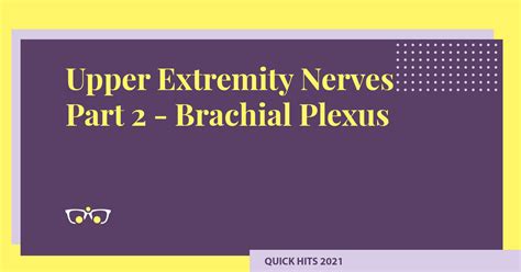 Upper Extremity Nerves Part 2 Brachial Plexus The Resident Review
