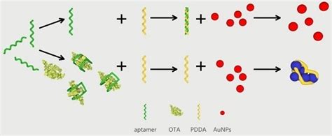 Toxins Free Full Text Highly Sensitive Colorimetric Detection Of