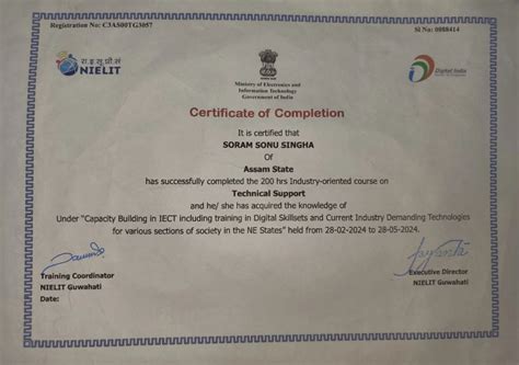 Soram Sonu Singha On Linkedin Nielit Technicalsupport