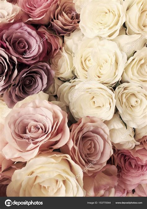 Vintage Rose Backgrounds