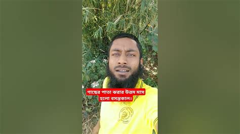 গাছের পাতা ঝরার উত্তম মাস হলো বসন্তকাল। Shorts Foryou Shortvideo Viralvideo Viralshorts