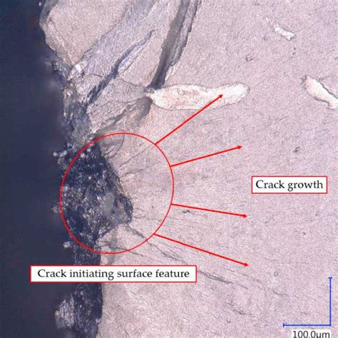 Specimen Geometry For Hcf Testing Download Scientific Diagram