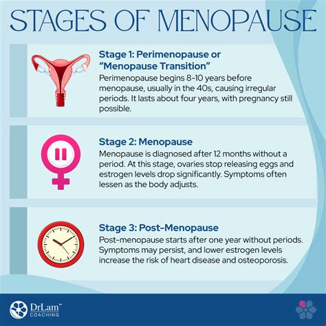 Menopause Period Stages