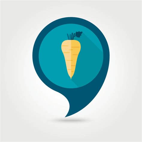 Best Parsnip Illustrations Royalty Free Vector Graphics And Clip Art Istock Best Parsnip Illustrations Royalty Free Vector Graphics And Clip Art Istock