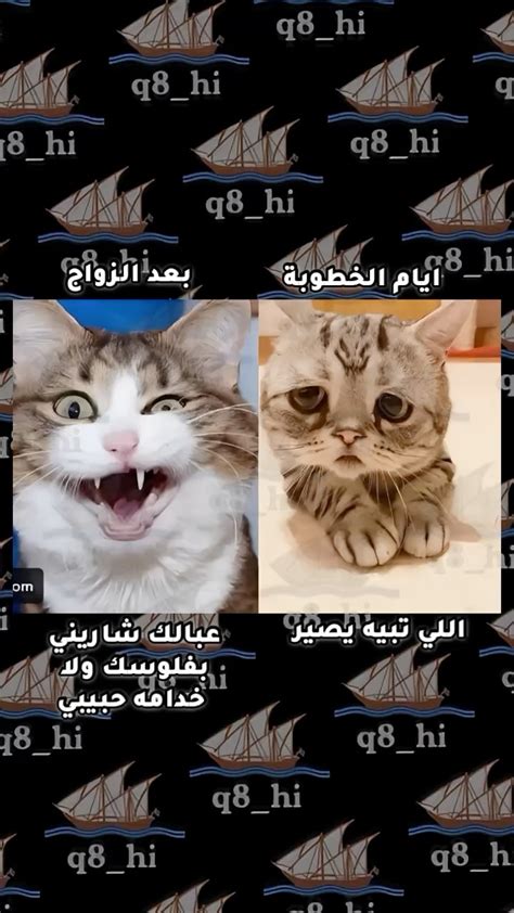 Q8hi ‎‎ضحك مضحك اضحك وناسه اضحكمنقلبك اضحكمعنا اضحكمنقلب اضحک اضحكني اضحك