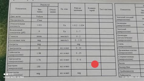 Расшифровка анализов Расшифровать анализ мочи и крови Все ли нормально Medaboutme