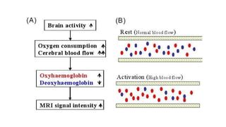 MRI And FMRI Lifesciences And Neurology Ppt PPTX