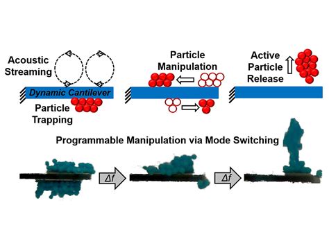 Publications • Viriginia Tech Biomanufacturing And Bionsensing Laboratory