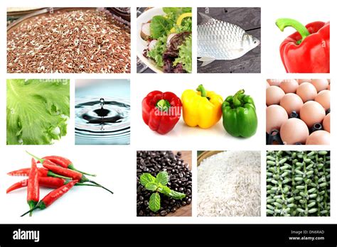 Seed Vegetables Examples