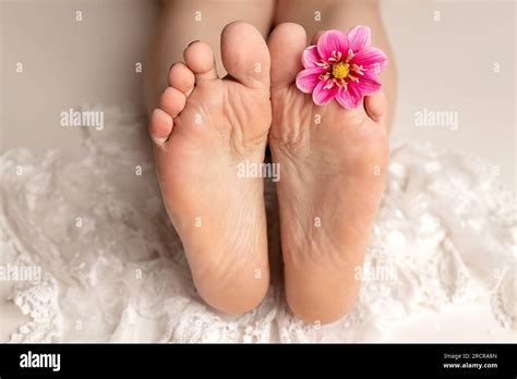 Close Up Of Soft Female Feet Soles On A White Lace With A Pink Dahlia