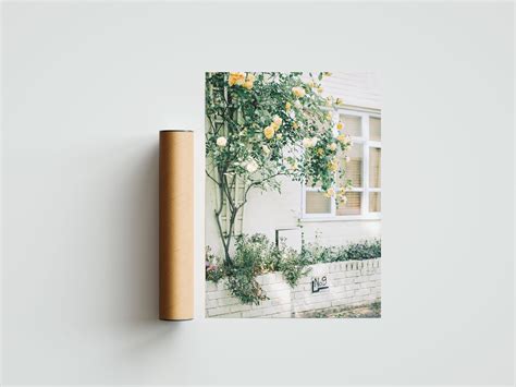 그림·사진 인테리어 아트포스터 Rosebush 수플 A1 50x70 A2 사이즈 오늘의집 쇼핑