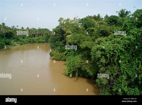 Vamanapuram River Water Overflow Flood During Kerala Monsoon Season