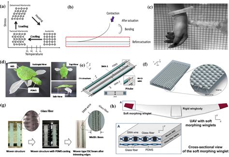 A Phase Transformation Of Shape Memory Alloy Mf Martensite Phase Download Scientific Diagram