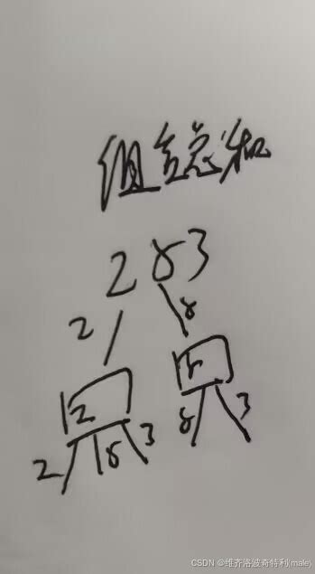 （回溯法）leetcode39组合总和