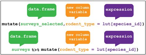 Chapter 4 Dplyr Verbs And Piping Data Science Workshop