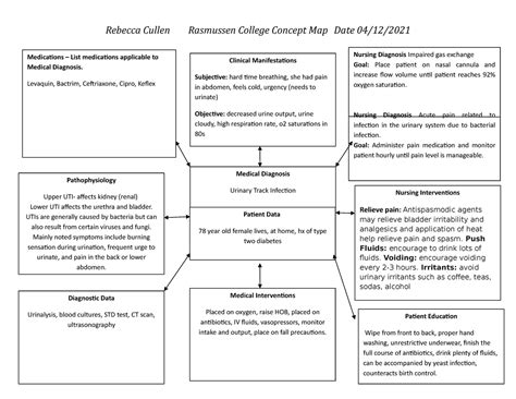 Urinary System Concept Map