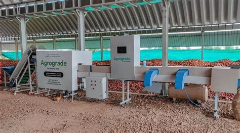 Automatic Fruit Colour Grading Machine 10 Metric Tonhour At Rs